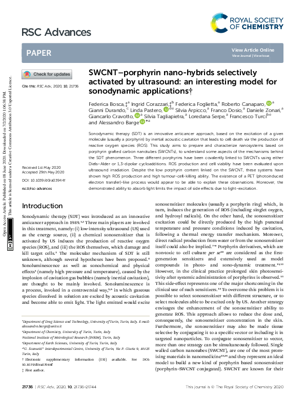 (PDF) SWCNT–porphyrin nano-hybrids selectively activated by ultrasound ...