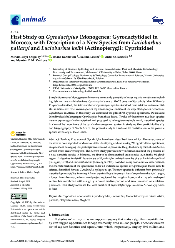 (PDF) First Study on Gyrodactylus (Monogenea: Gyrodactylidae) in ...