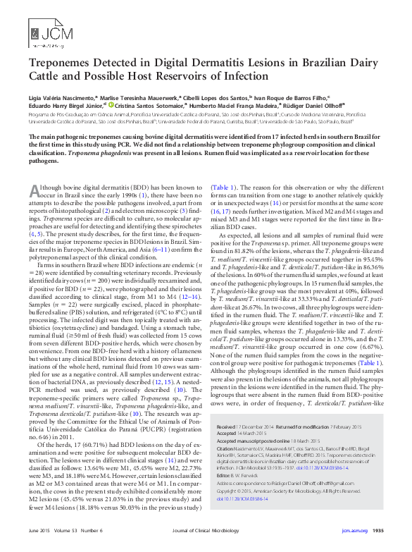 (PDF) Treponemes Detected in Digital Dermatitis Lesions in Brazilian ...