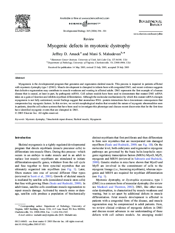 (PDF) Myogenic defects in myotonic dystrophy
