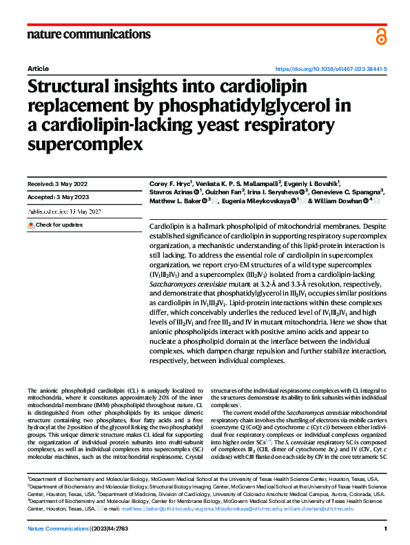 (PDF) Structural insights into cardiolipin replacement by ...