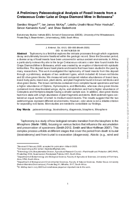 (PDF) A preliminary paleoecological analysis of fossil insects from a ...