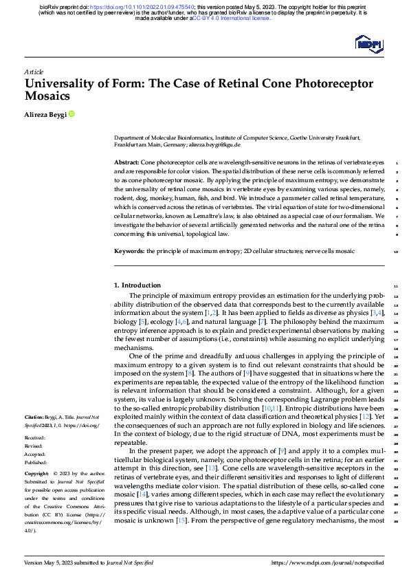 (PDF) Universality of Form: The Case of Retinal Cone Photoreceptor Mosaics