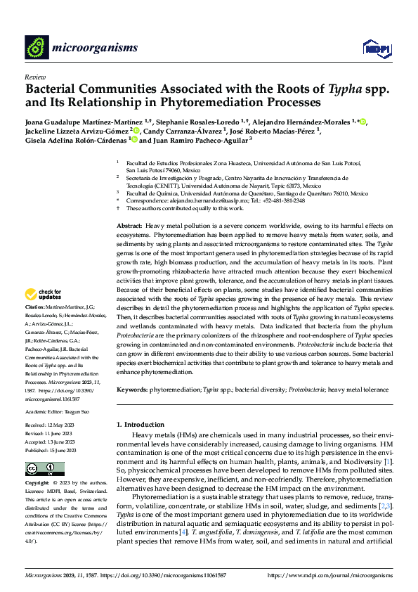 (PDF) Bacterial Communities Associated with the Roots of Typha spp. and ...