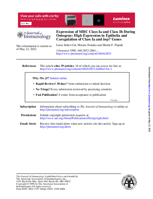 (PDF) Expression of MHC Class Ia and Class Ib During Ontogeny: High ...