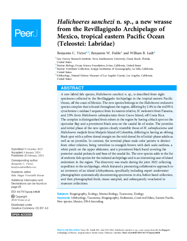 (PDF) Halichoeres sanchezi n. sp., a new wrasse from the Revillagigedo ...