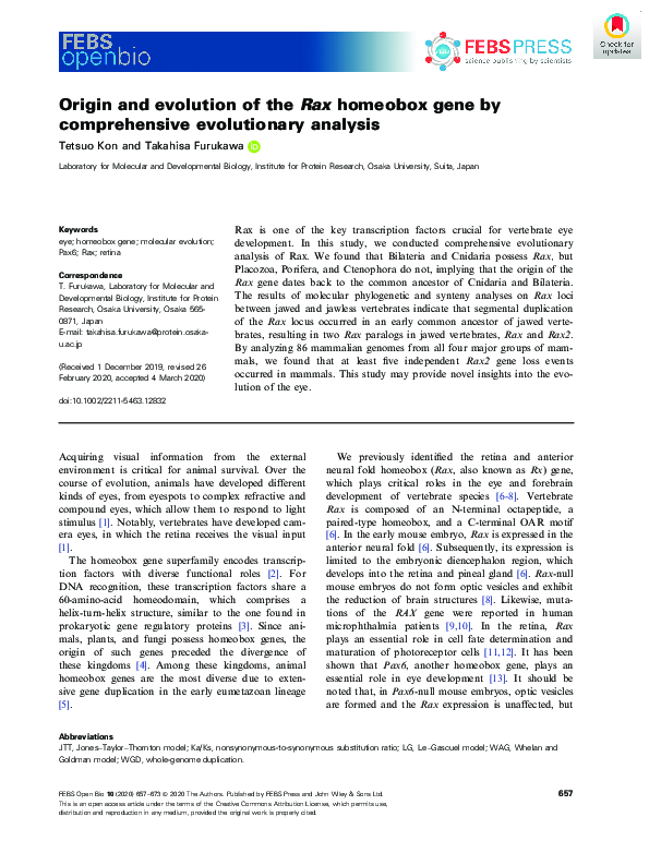 (PDF) Origin and evolution of the Rax homeobox gene by comprehensive ...