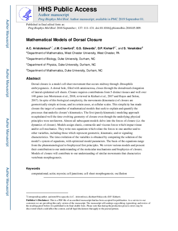 (PDF) Mathematical models of dorsal closure