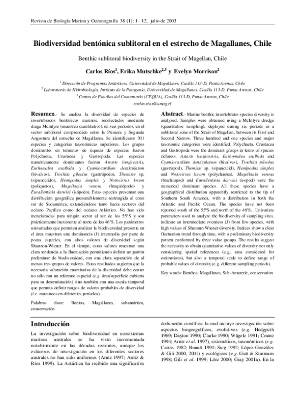 (PDF) Biodiversidad bent nica sublitoral en el estrecho de Magallanes ...