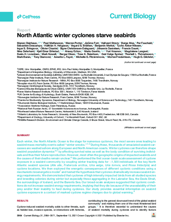 (PDF) North Atlantic winter cyclones starve seabirds