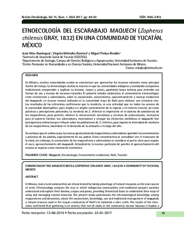 (PDF) Etnoecología del Escarabajo Maquech (Zopherus chilensis Gray ...