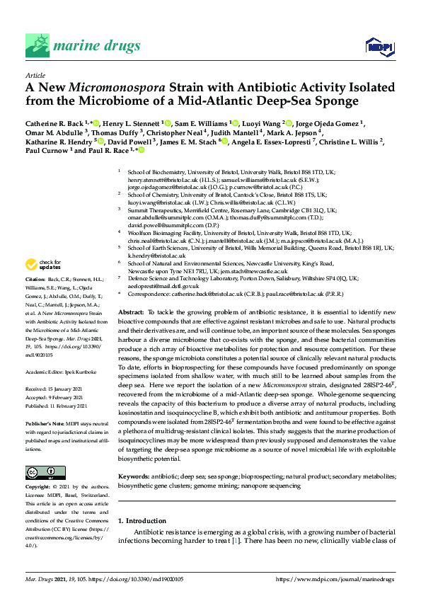 (PDF) A New Micromonospora Strain with Antibiotic Activity Isolated ...