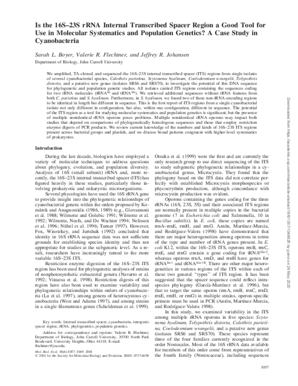 (PDF) Is the 16S–23S rRNA Internal Transcribed Spacer Region a Good ...