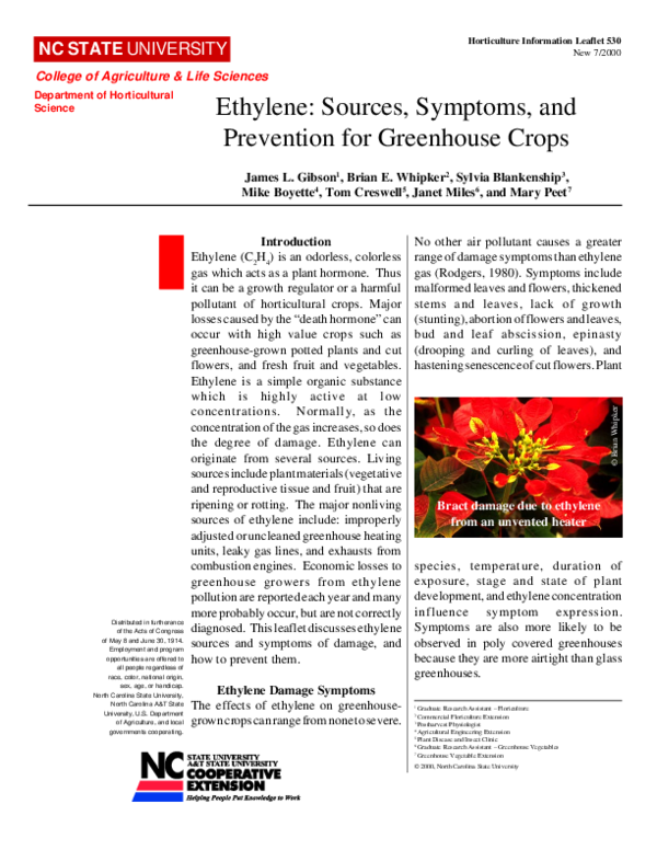 (PDF) Ethylene: Sources, Symptoms, and Prevention for Greenhouse Crops