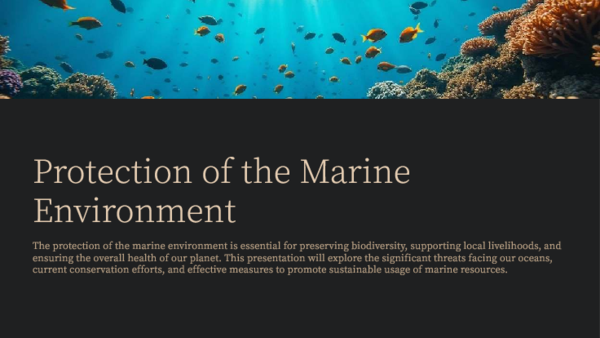(PDF) Reflection on the source of pollution and its effects on the ...