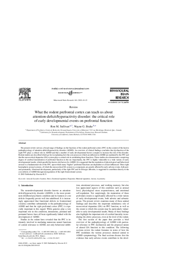 (PDF) What the rodent prefrontal cortex can teach us about attention ...