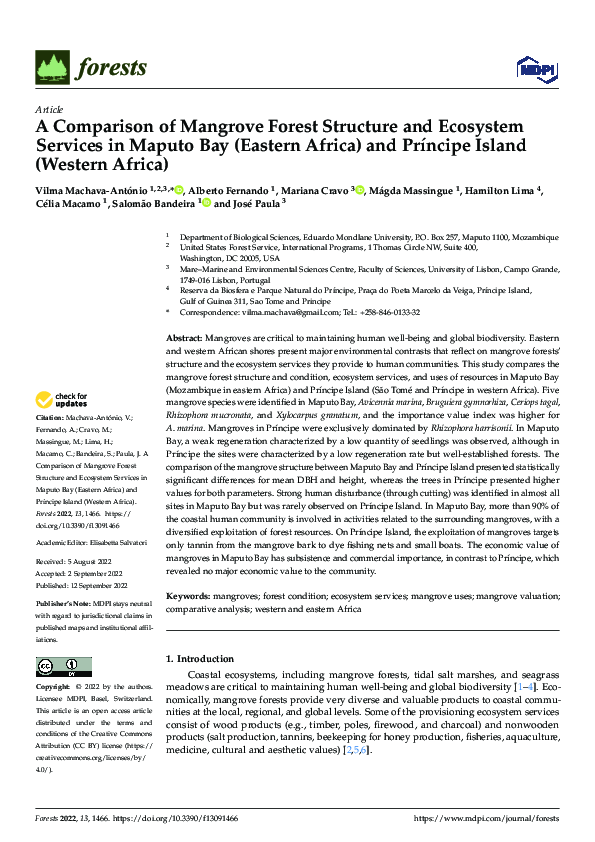 (PDF) A Comparison of Mangrove Forest Structure and Ecosystem Services in Maputo Bay (Eastern ...
