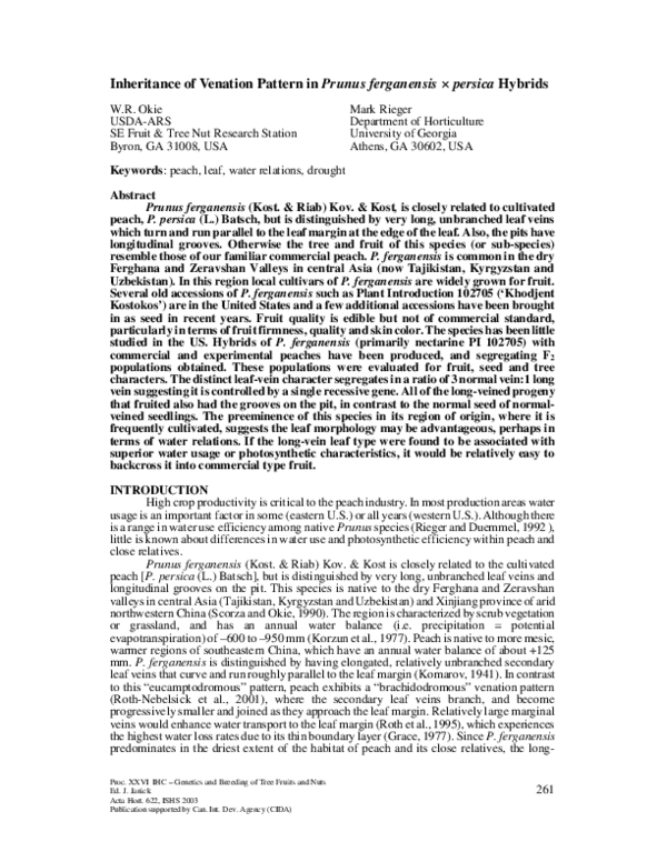 (PDF) INHERITANCE OF VENATION PATTERN IN PRUNUS FERGANENSIS x PERSICA ...