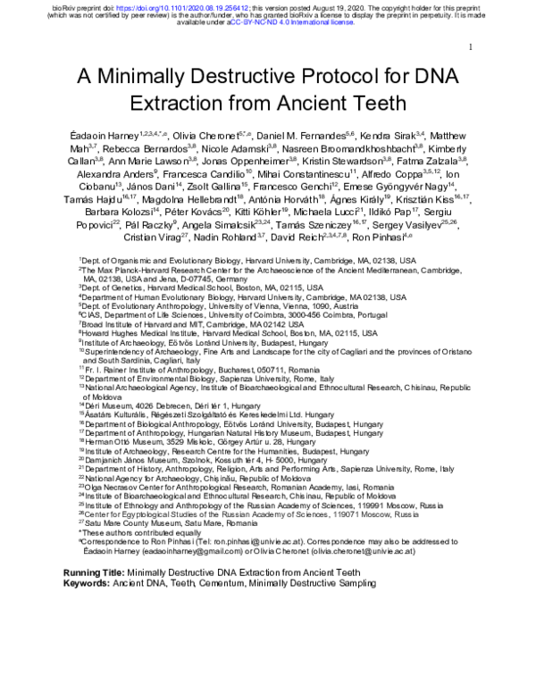 (PDF) A Minimally Destructive Protocol for DNA Extraction from Ancient ...
