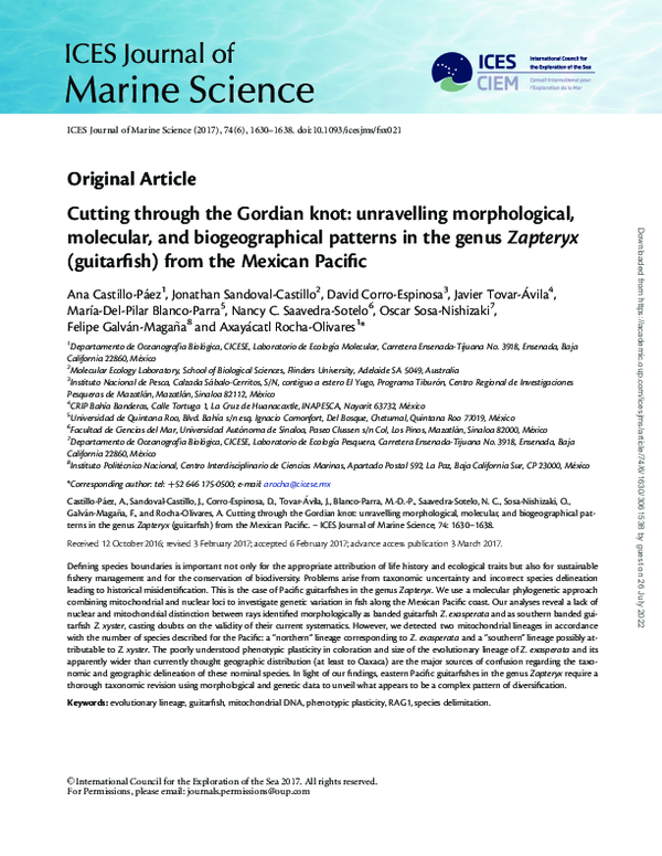 (PDF) Cutting through the Gordian knot: unravelling morphological ...