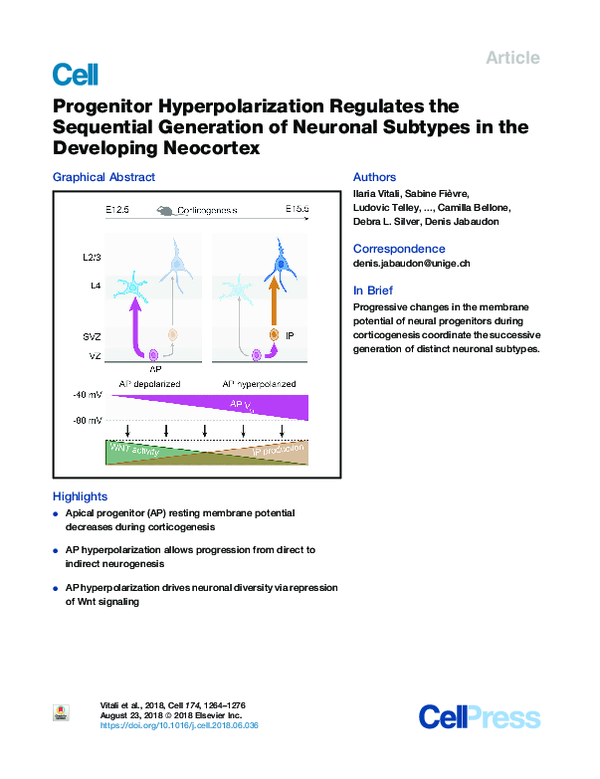 (PDF) Progenitor Hyperpolarization Regulates the Sequential Generation ...