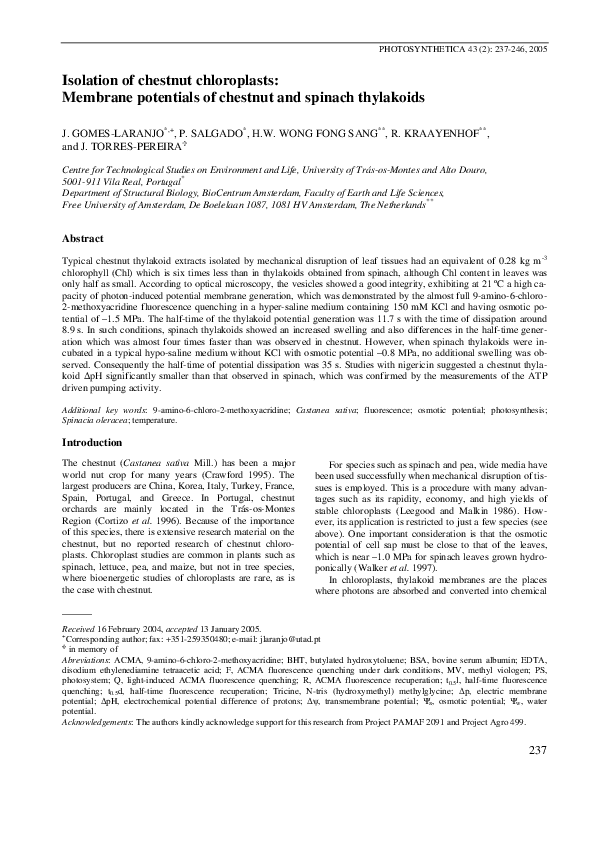(PDF) Isolation of chestnut chloroplasts: membrane potentials of ...