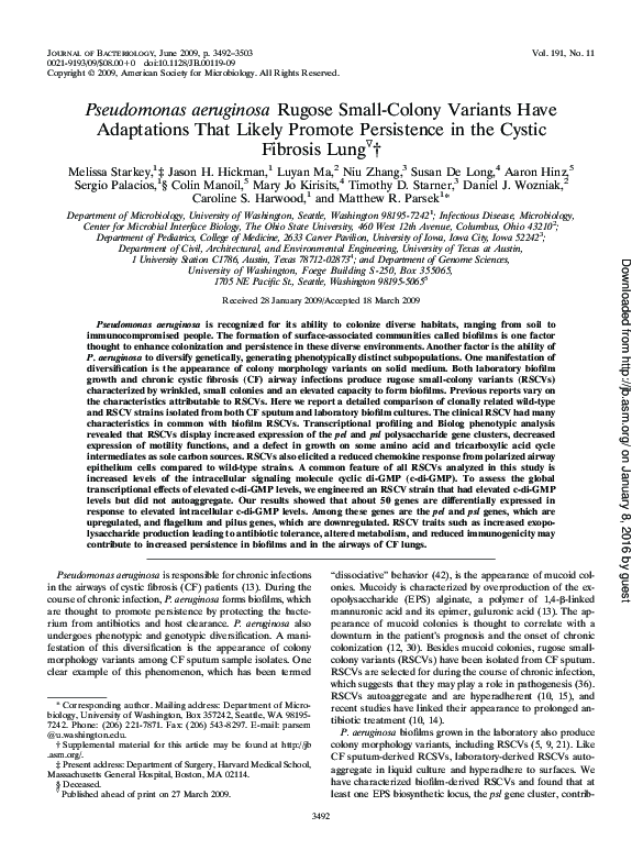 (PDF) Pseudomonas aeruginosa Rugose Small-Colony Variants Have ...