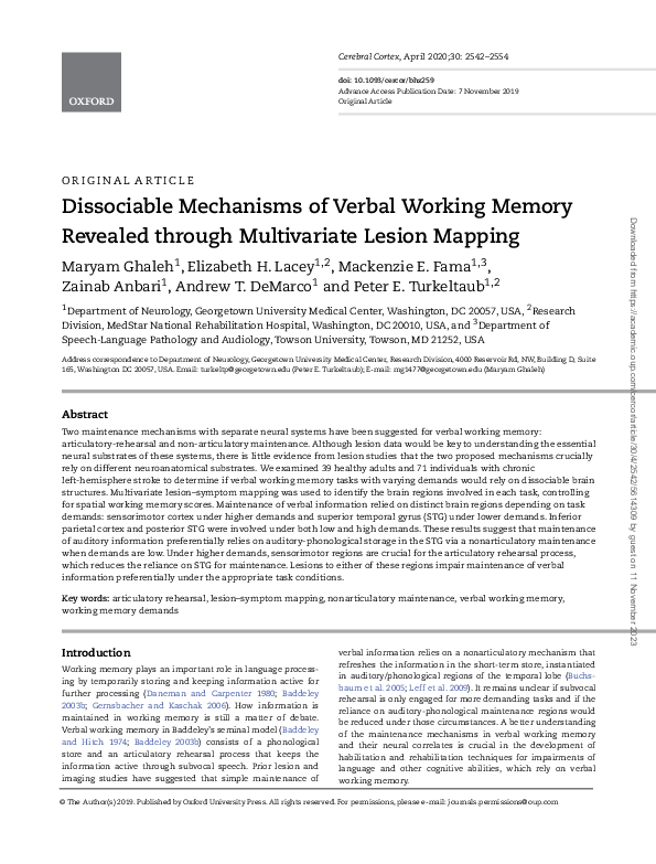 (PDF) Dissociable Mechanisms of Verbal Working Memory Revealed through ...