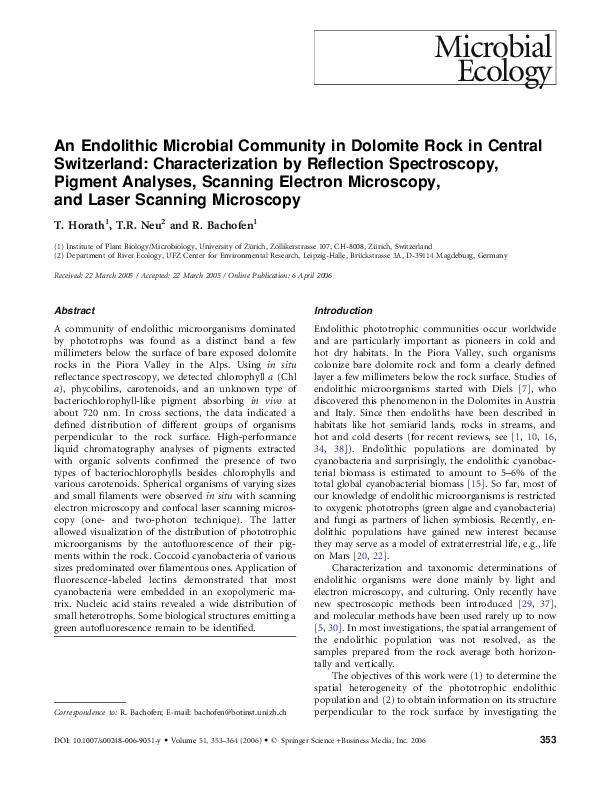(PDF) An Endolithic Microbial Community in Dolomite Rock in Central ...