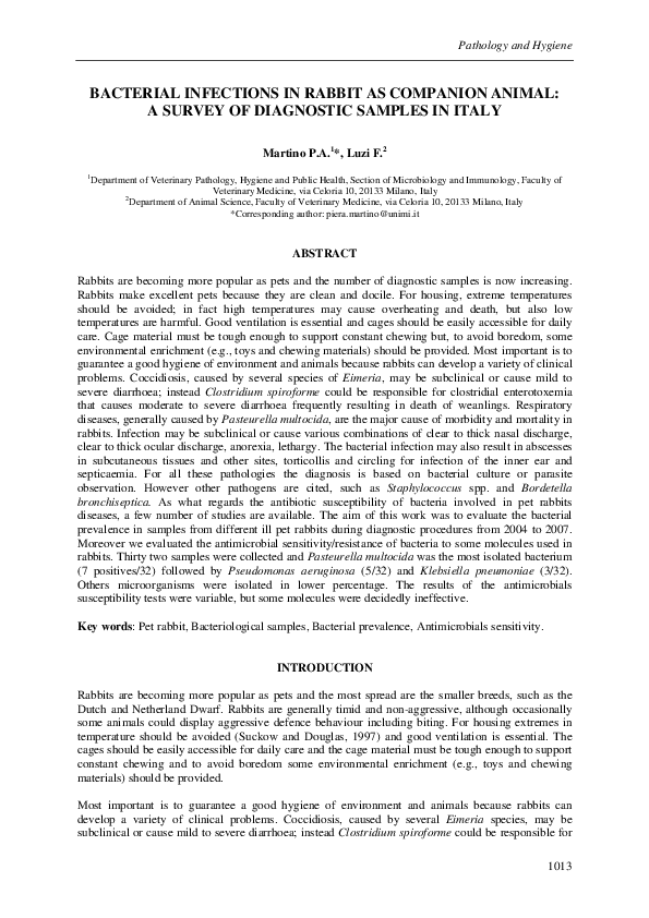(PDF) Bacterial infections in rabbit as companion animal: a survey of ...