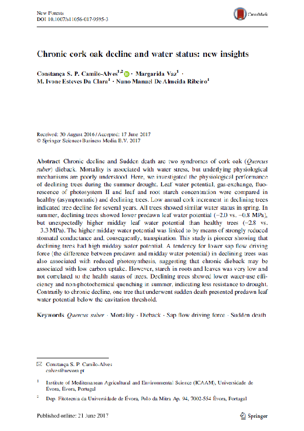 (PDF) Chronic cork oak decline and water status: new insights