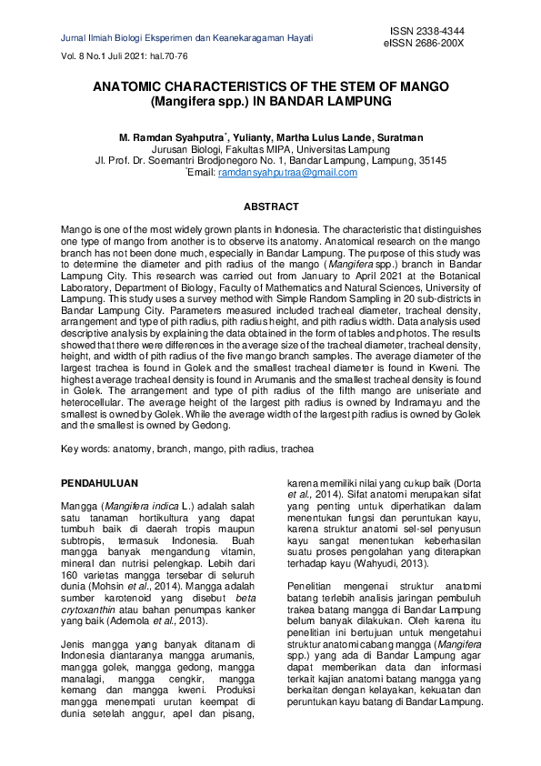(PDF) ANATOMIC CHARACTERISTICS OF THE STEM OF MANGO (Mangifera spp.) IN ...