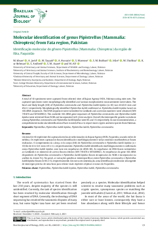 (PDF) Molecular identification of genus Pipistrellus (Mammalia ...