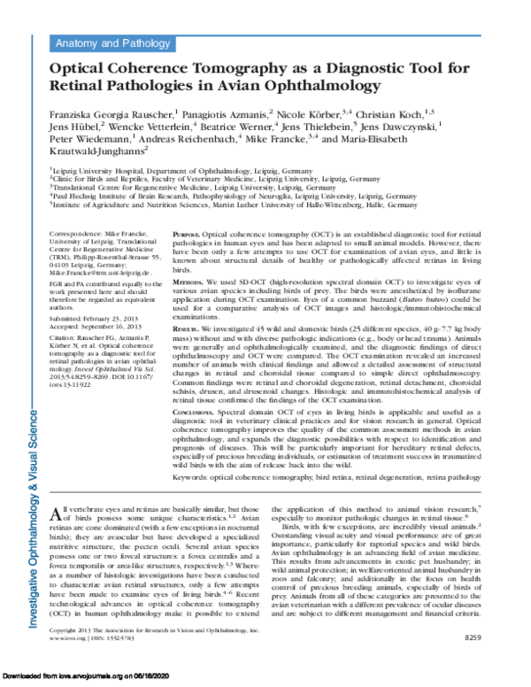 (PDF) Optical Coherence Tomography as a Diagnostic Tool for Retinal ...