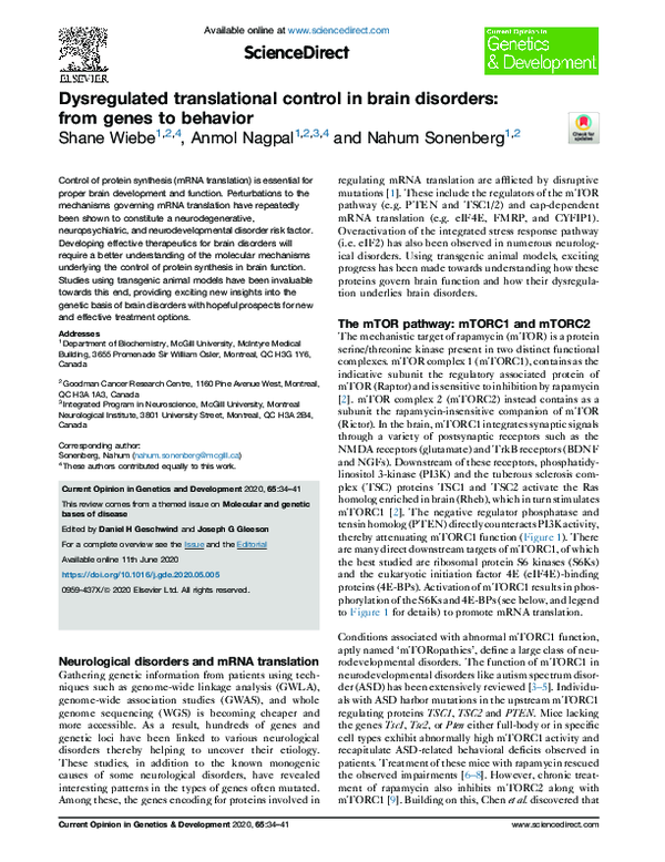 (PDF) Dysregulated translational control in brain disorders: from genes ...