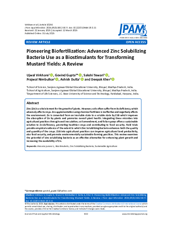 (PDF) Pioneering Biofertilization: Advanced Zinc Solubilizing Bacteria ...