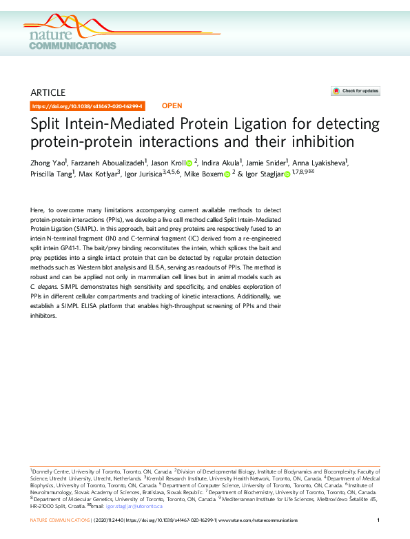 (PDF) Split Intein-Mediated Protein Ligation for detecting protein ...