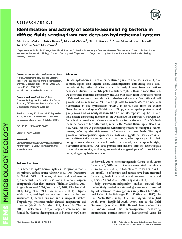 (PDF) Identification and activity of acetate-assimilating bacteria in ...