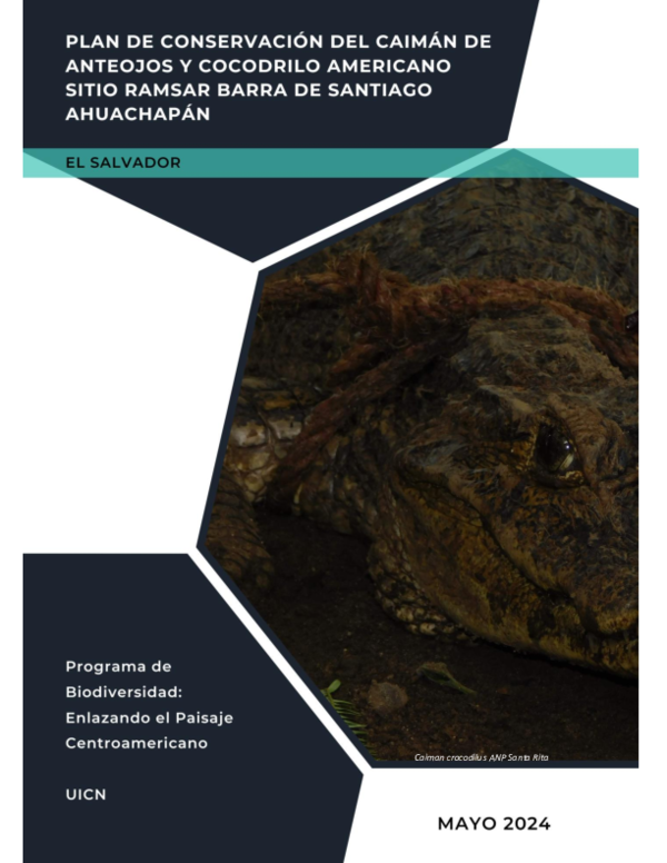 (PDF) Plan de Conservación del Caimán de Anteojos (Caiman crocodilus) y ...