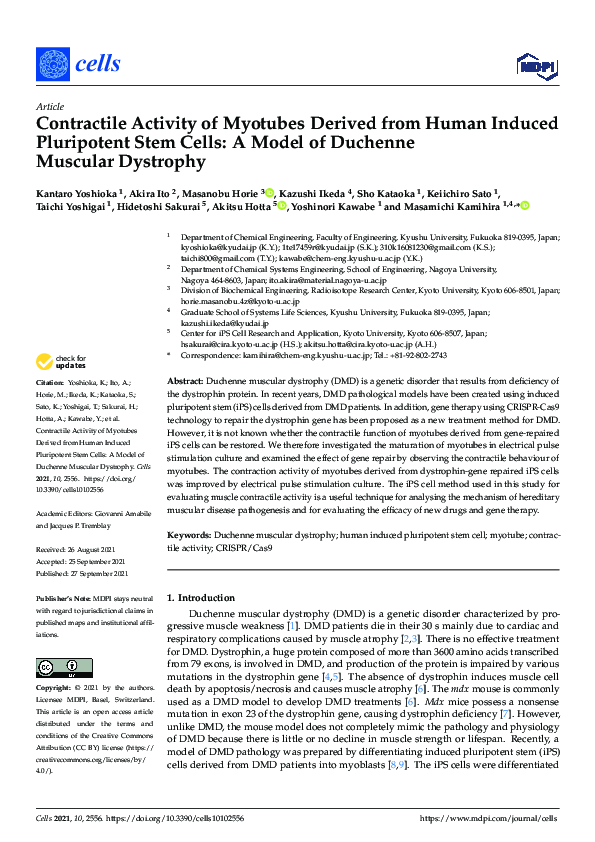 (PDF) Contractile Activity of Myotubes Derived from Human Induced ...