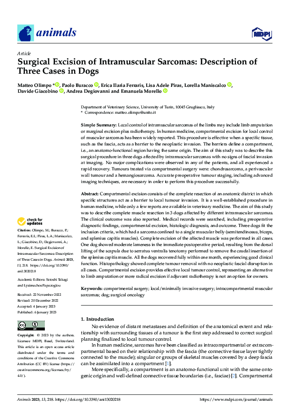 (PDF) Surgical Excision of Intramuscular Sarcomas: Description of Three ...