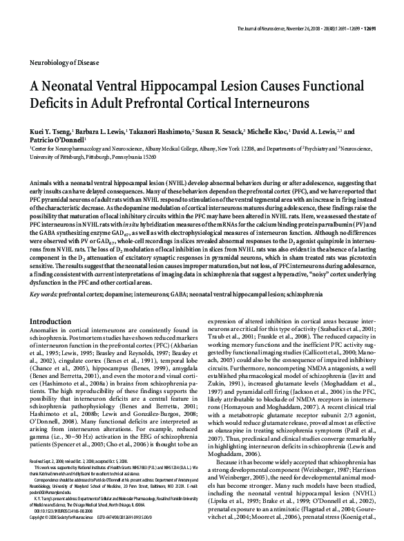 (PDF) A Neonatal Ventral Hippocampal Lesion Causes Functional Deficits ...