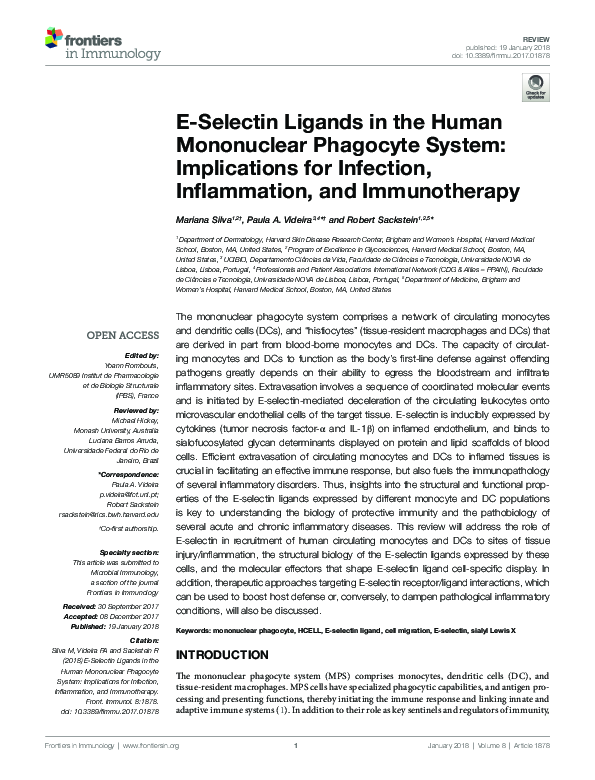 (PDF) E-Selectin Ligands in the Human Mononuclear Phagocyte System ...