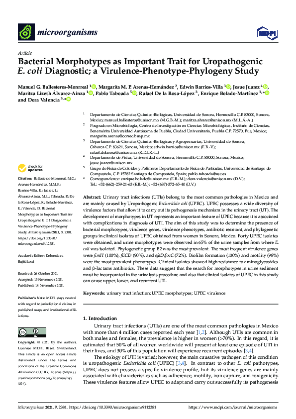 (PDF) Bacterial Morphotypes as Important Trait for Uropathogenic E ...