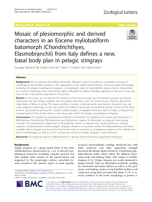 (PDF) Mosaic of plesiomorphic and derived characters in an Eocene ...