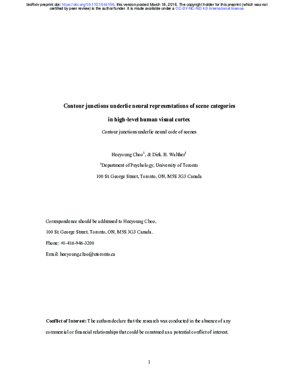 (PDF) Contour junctions underlie neural representations of scene ...