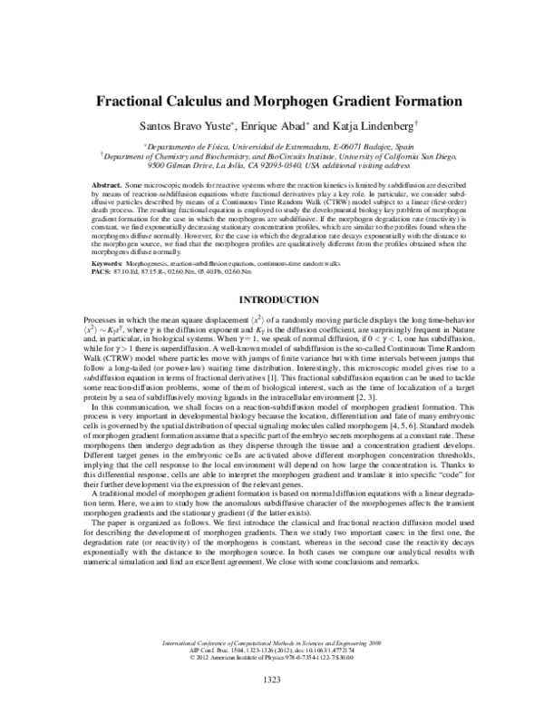 (PDF) Fractional calculus and morphogen gradient formation