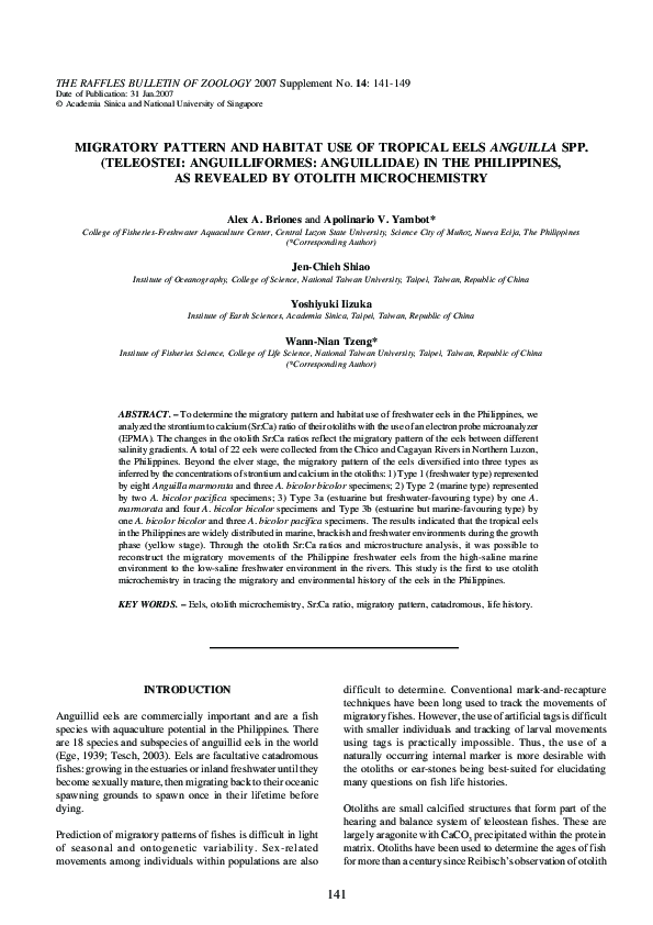 (PDF) Migratory pattern and habitat use of tropical eels Anguilla spp ...