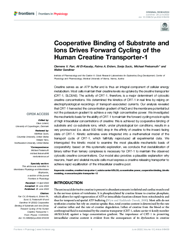 (PDF) Cooperative Binding of Substrate and Ions Drives Forward Cycling ...