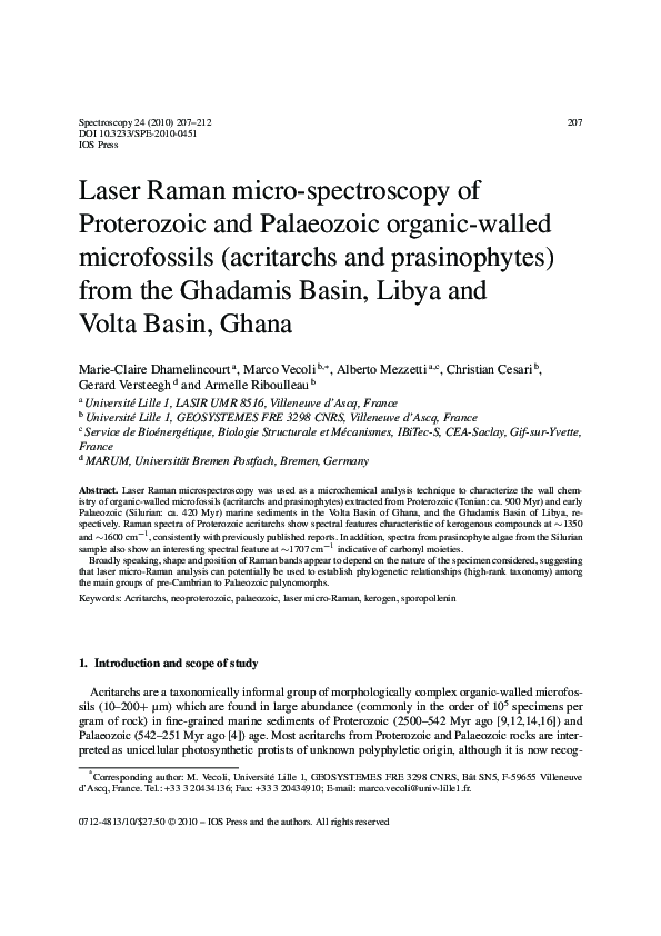 (PDF) Laser Raman micro-spectroscopy of Proterozoic and Palaeozoic ...